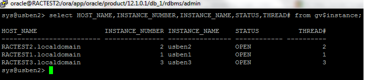 My Oracle Convert Single Instance To Rac Manual Method