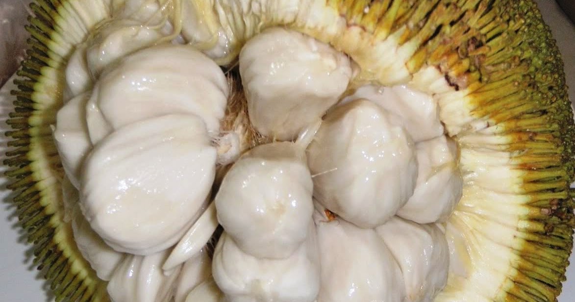 Galas: BUAH TARAP JADI REBUTAN