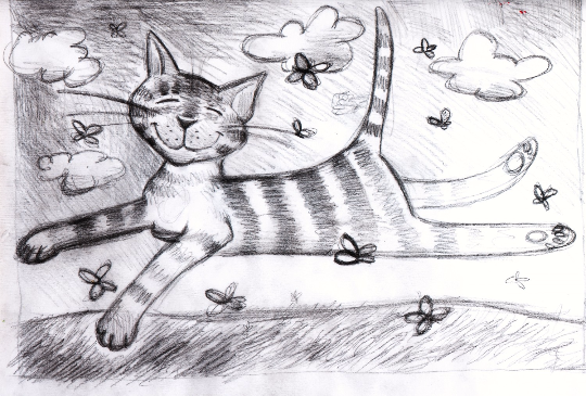 Tara Anderson's Art Studio: How Tara Creates A Custom Portrait Of Your Pet