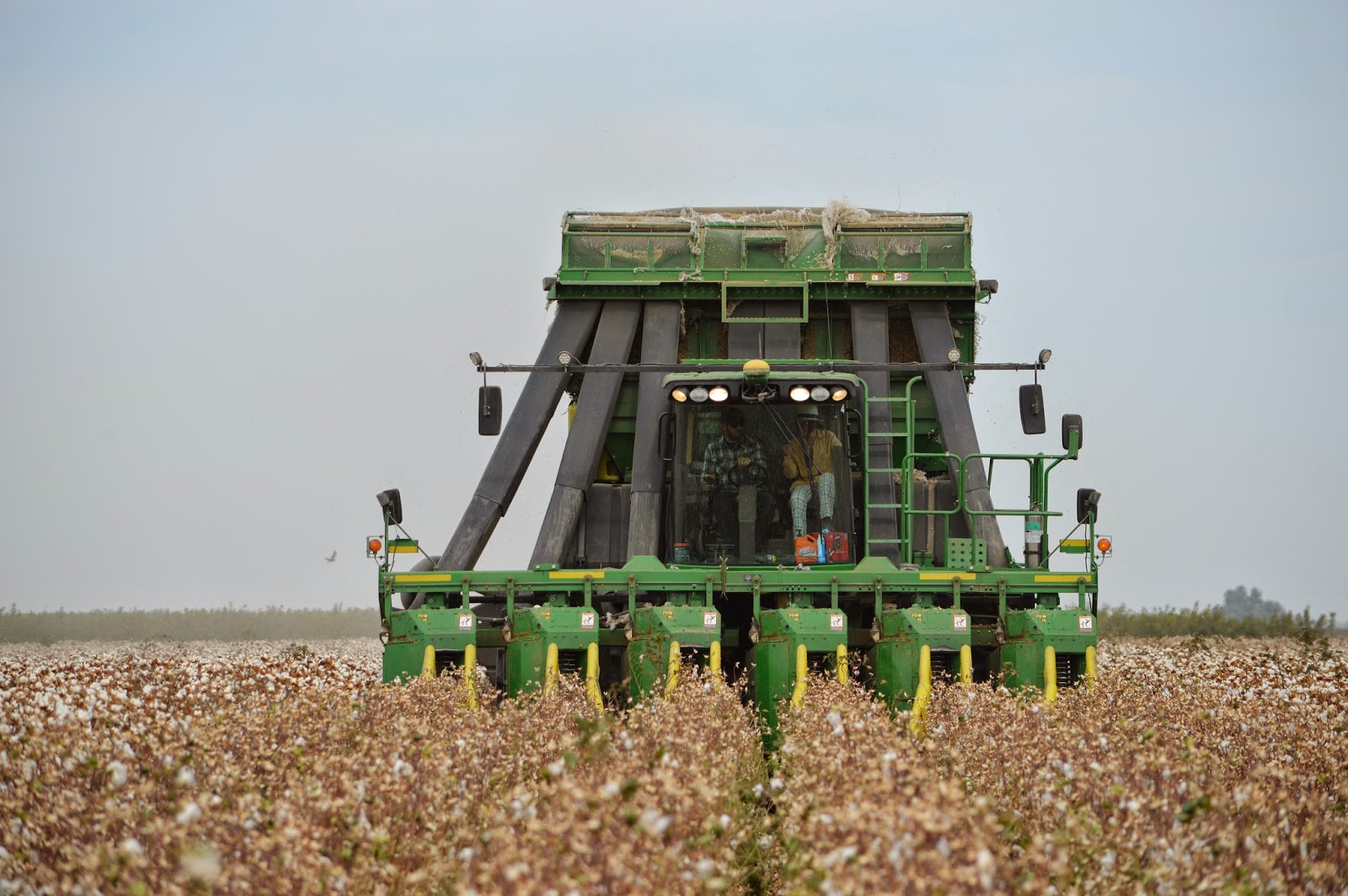 Sustainable Ag: A View from the Field: Cotton Growers Speed Up Harvest ...