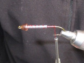 Fly Tying Videos: How to Tie Flies for Freshwater and Saltwater: How to ...