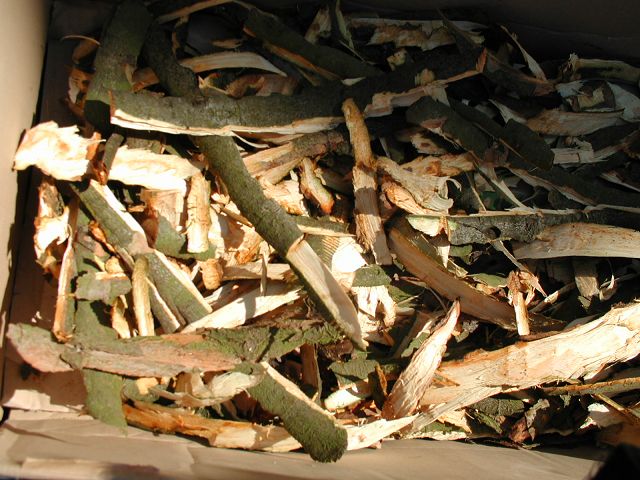 Wolle Natur Farben : Färbung mit Apfelbaumrinde