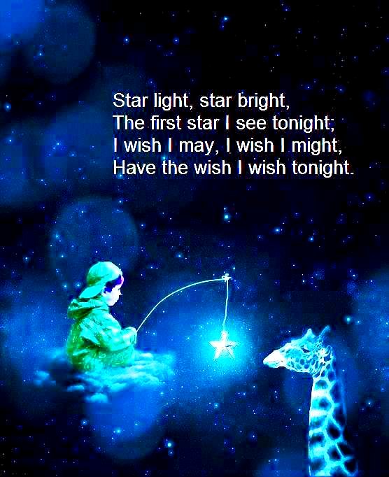 The Aurora Angels: A Star In Heaven