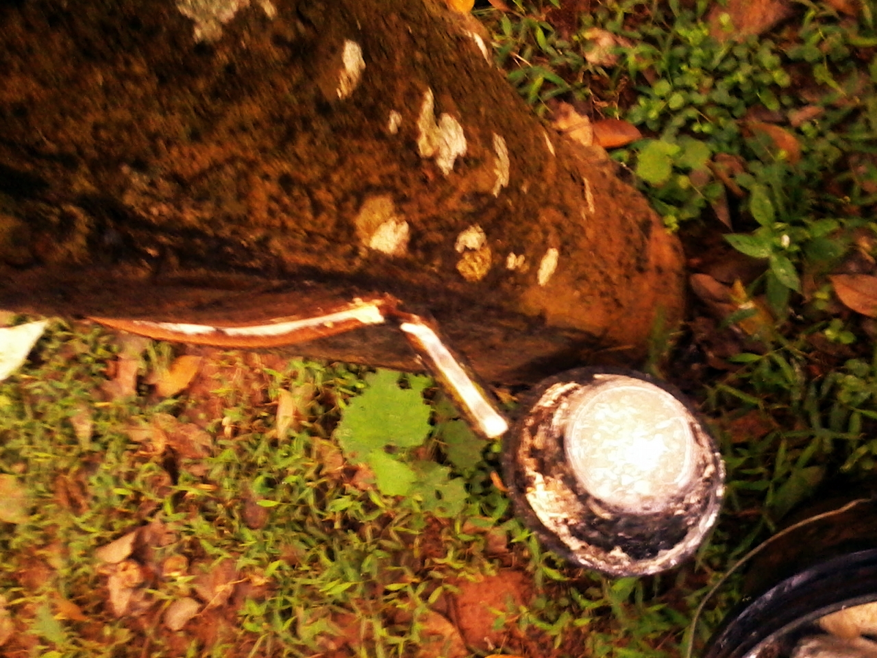 My New Me: Getah Skrap