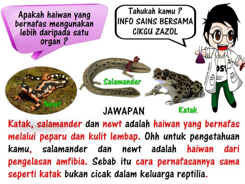 ZAZOLNIZAM BIN ZAKARIA: Info Sains SEkolah Rendah