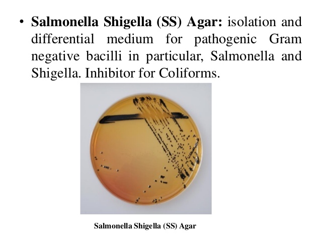 Salmonella Shigella Agar