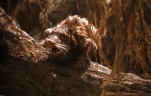 thunderstrokes: Fear the R.O.U.S!