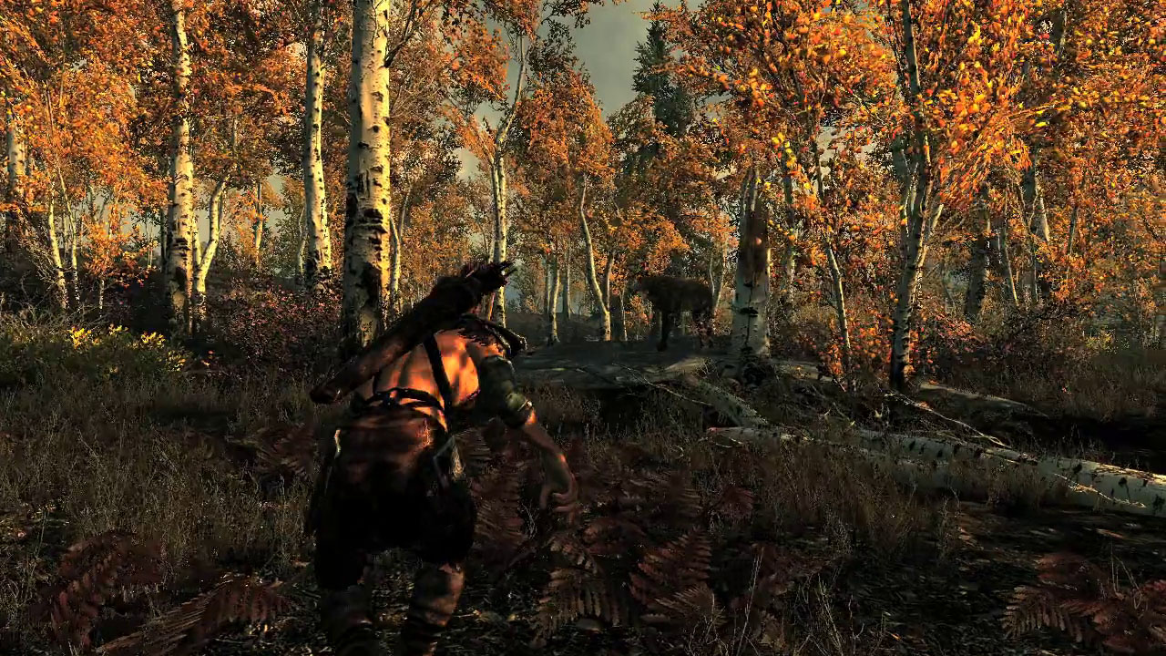 The elder scrolls v skyrim pc review - verpoints