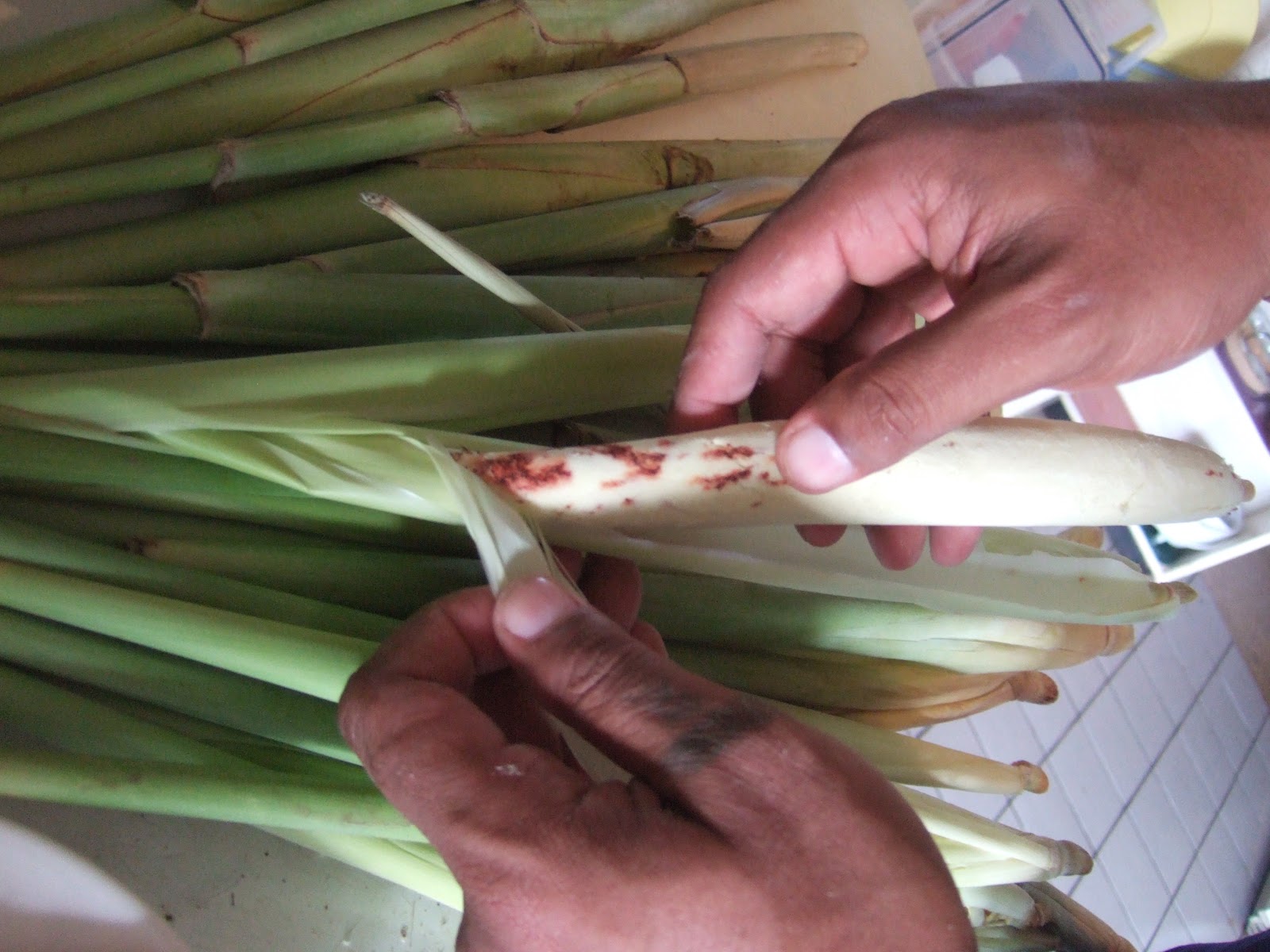 Noted on the Wayside: DURUKA SEASON