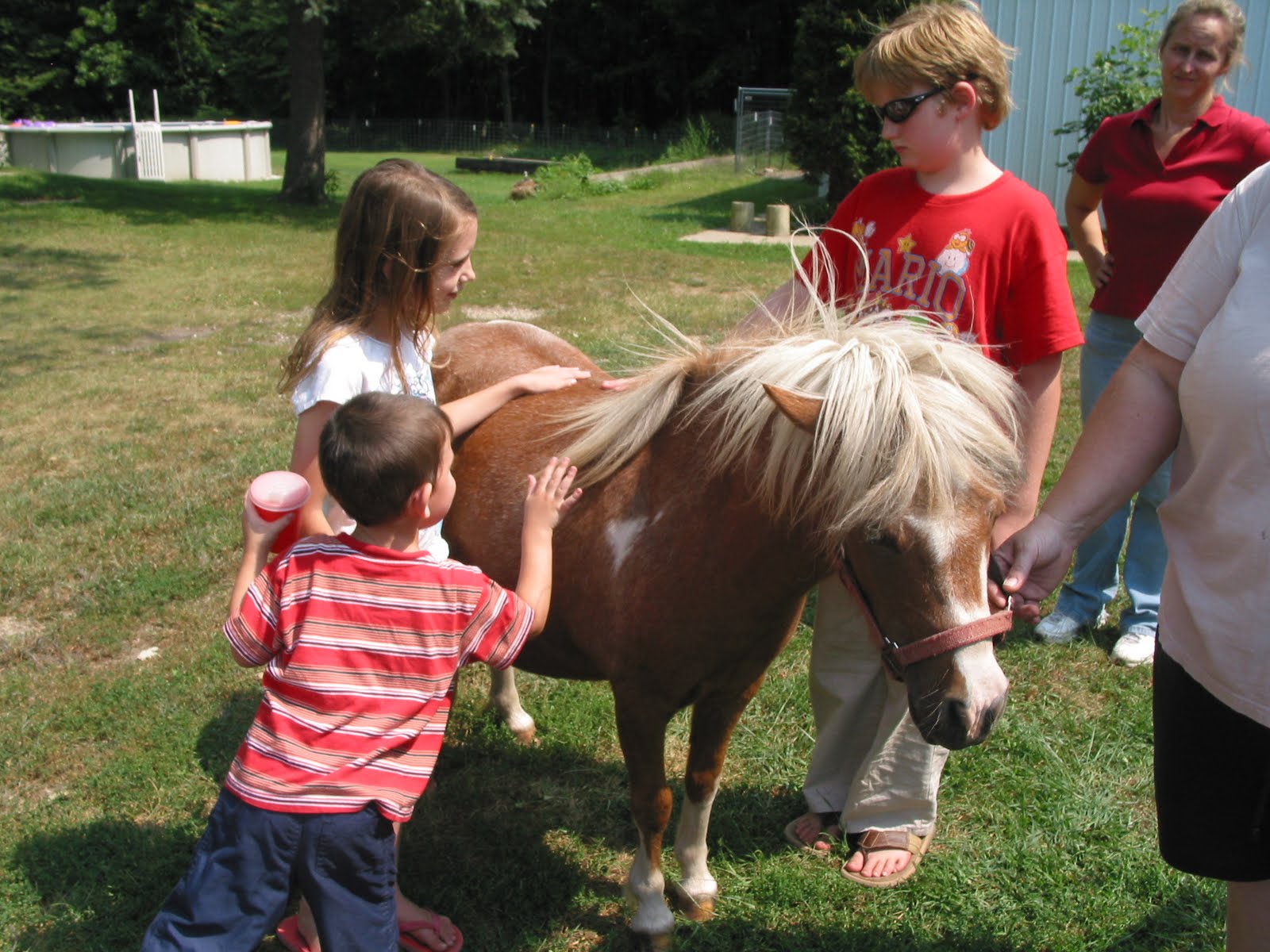Light at Home: More Pony Fun