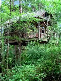 Katrina Kittle's Blog: #351: Tree Houses