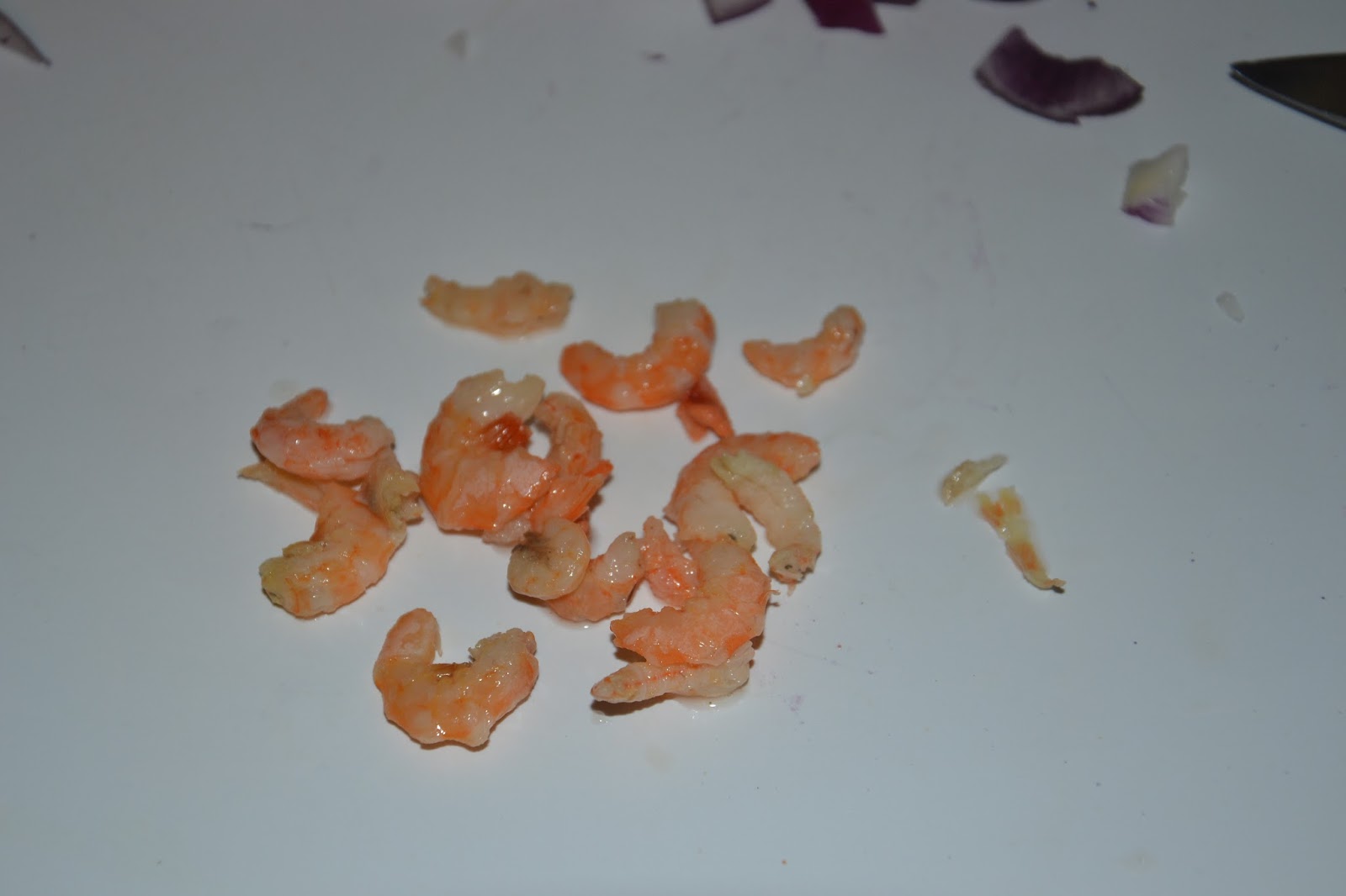 Oppdag Fisk!: Southern Rough Shrimp//Trachysalambria Curvirostris ...