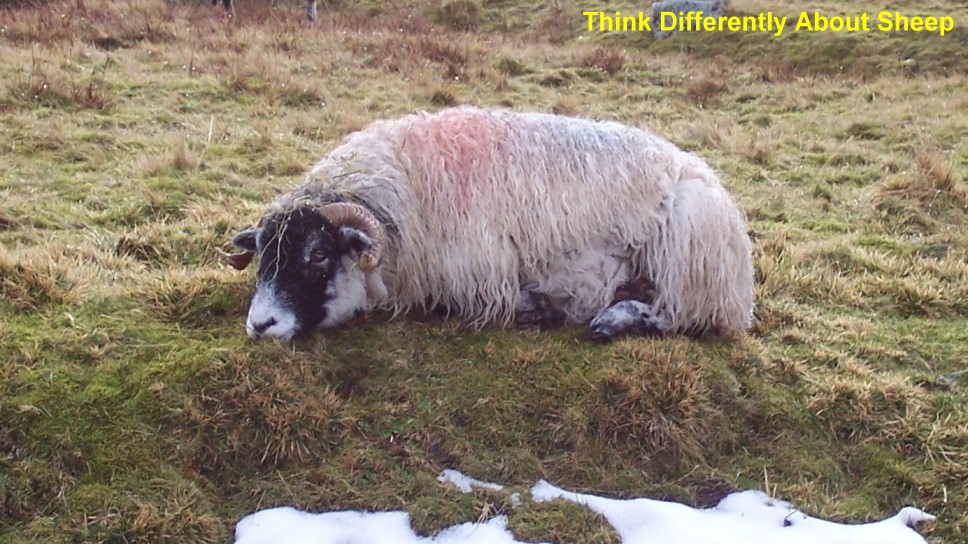 ΠΑΝΤΑ ΚΑΤΙ ΠΙΑΝΟΥΜΕ: Νοεμβρίου 2011