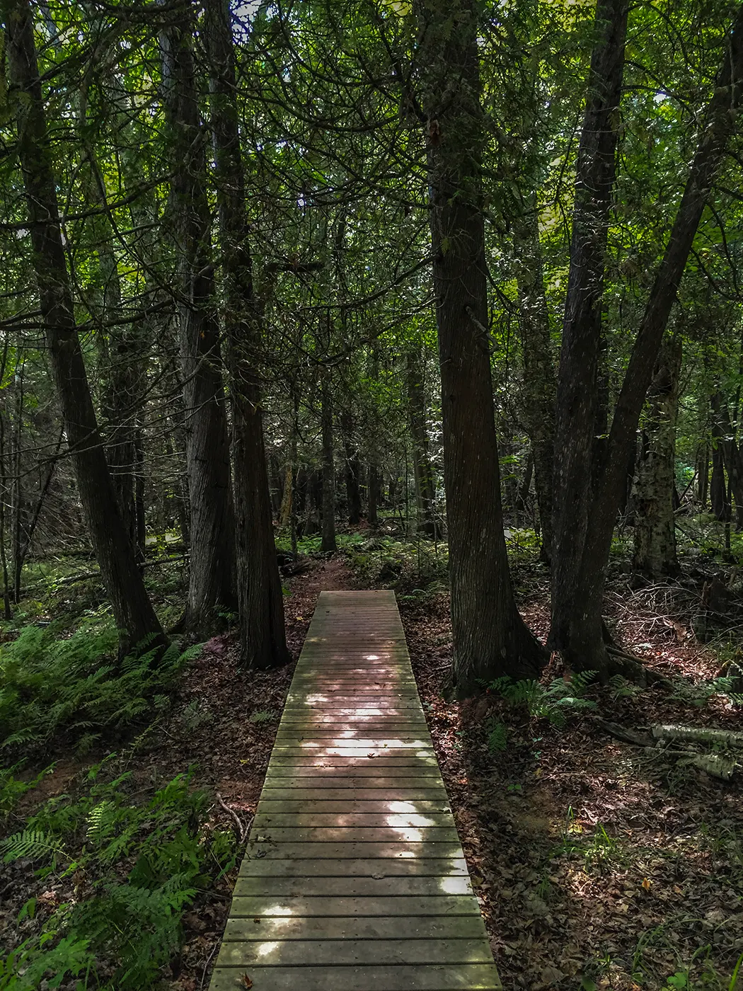 Hiking Frog Bay National Park in Red Cliff WI