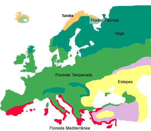 Luiz Eduardo: Clima e Vegetação da Europa