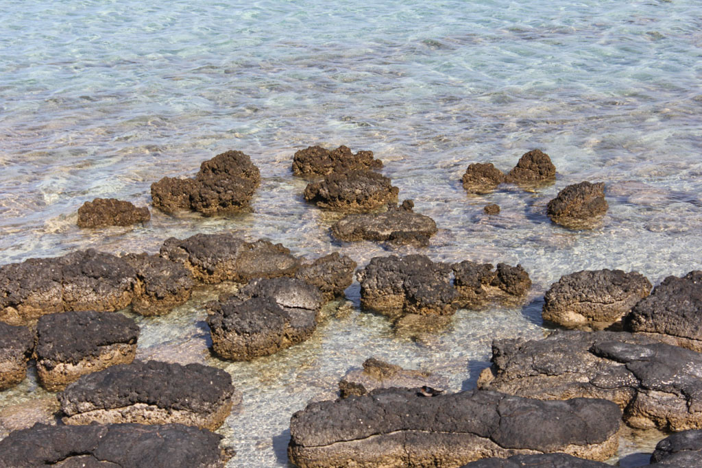 Jo & Stephen & a 4x4: Really ancient stuff - stromatolites and Kalbarri ...