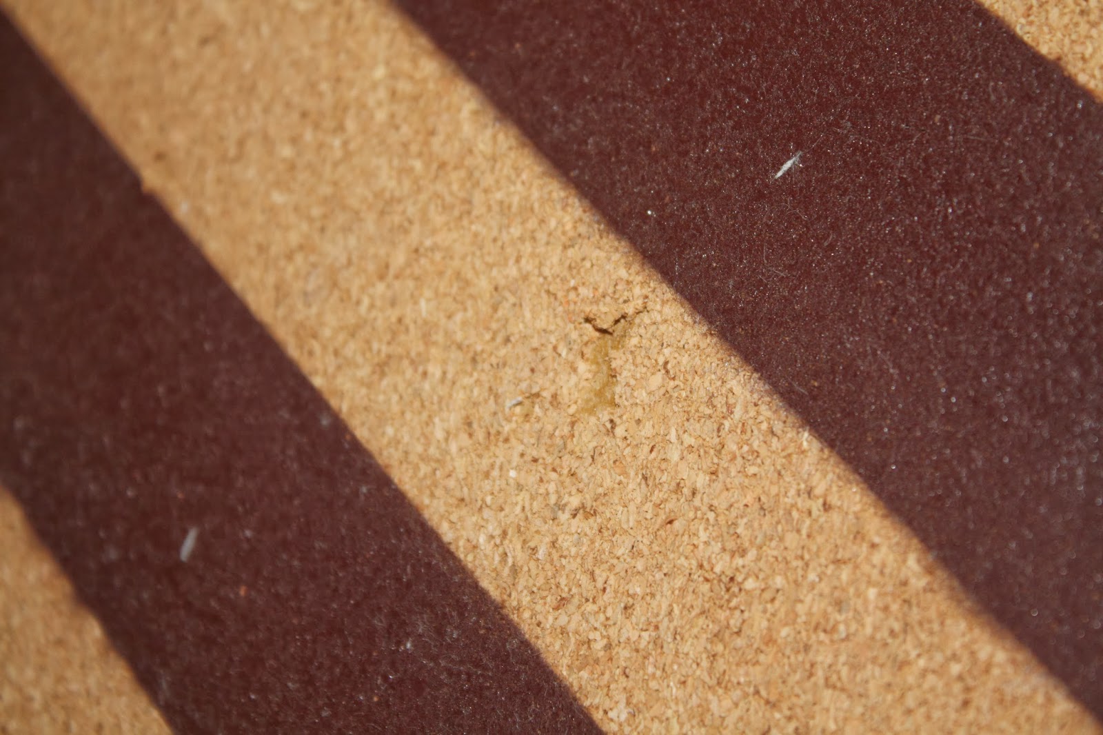 Alayna's Creations: Craft Fail - Almost!