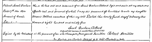 Anna and the Irish Diaspora: A Story of Wills