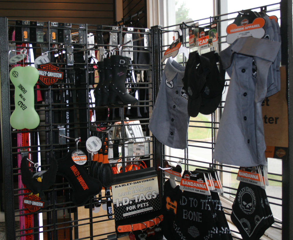 Styling in Delco: Biker Chic this Fall