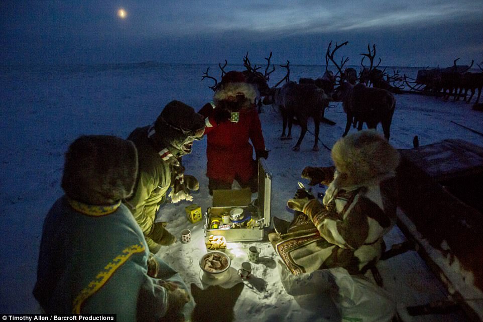 White Wolf : Stunning pictures showcase annual reindeer migration of ...