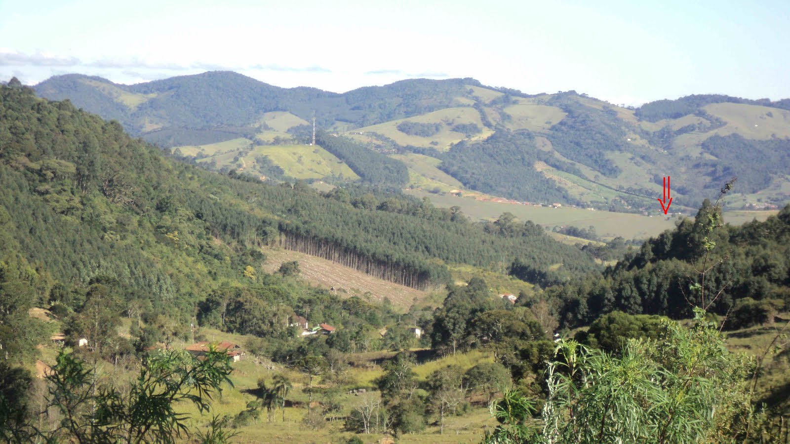 Prof. Émer Nogueira: HOJE: 80 ANOS DA "REVOLUÇÃO CONSTITUCIONALISTA DE ...