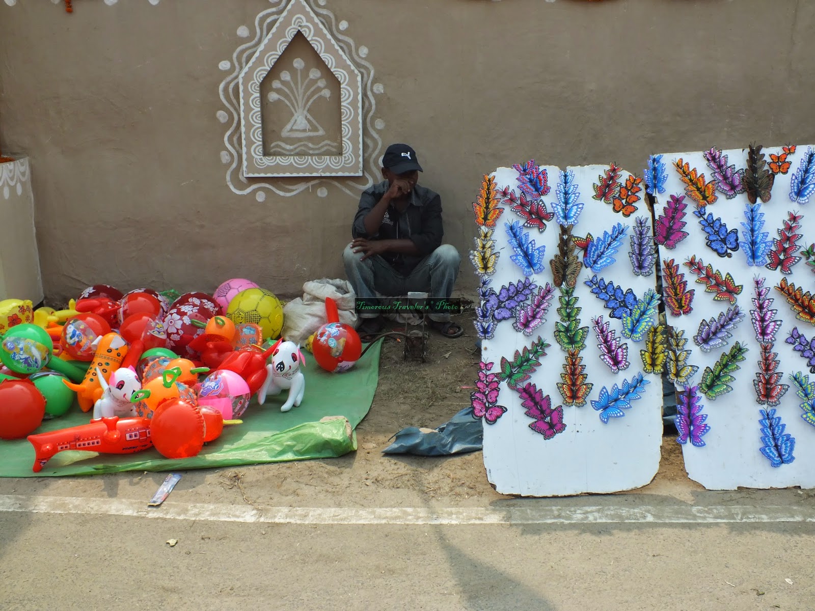 Sights & Sounds of India- and beyond: Asia’s Largest Cattle Fair ...