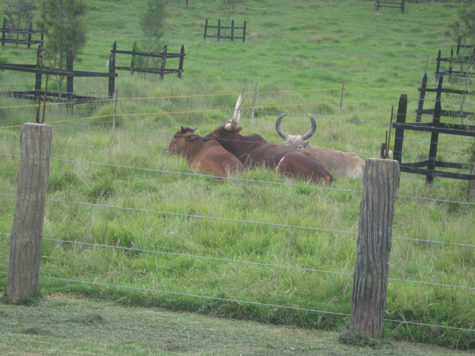 Jaime Duque :D: Historia Del Jaime Duque