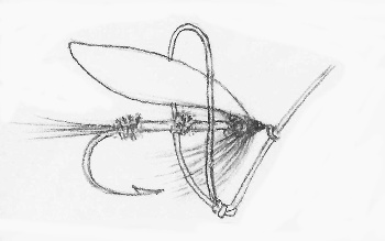 Fly Fishing with Doug Stewart: Tying the Turle Knot