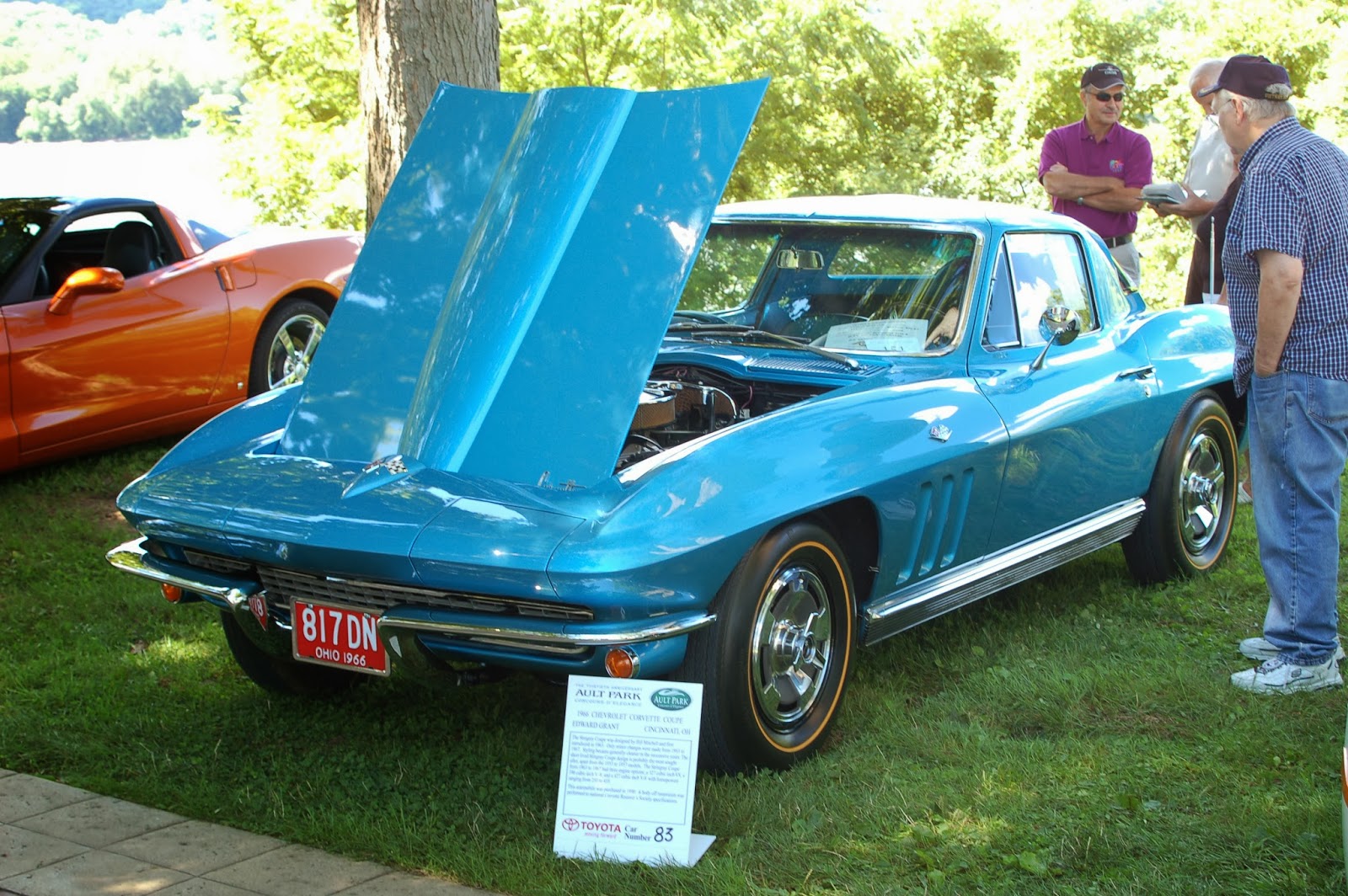 Turnerbudds Car Blog: The Last of the Vettes