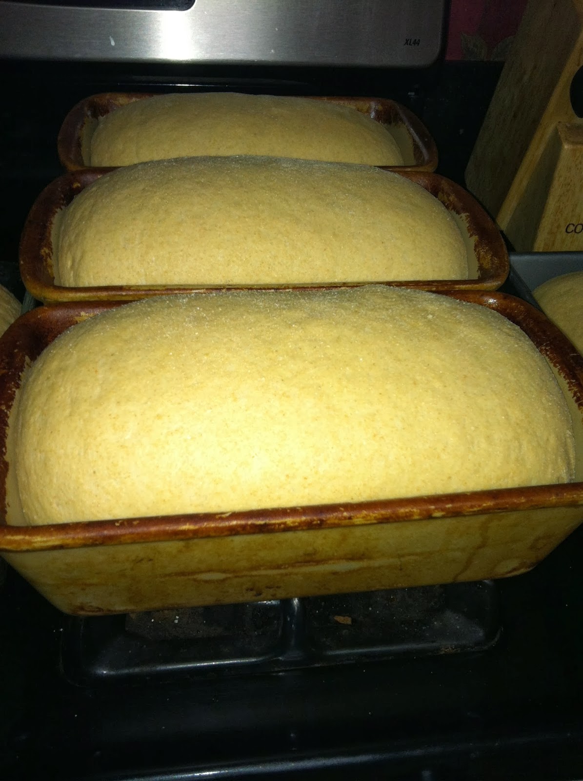 Mormon Mavens in the Kitchen: Easy 100% Whole Wheat Bread