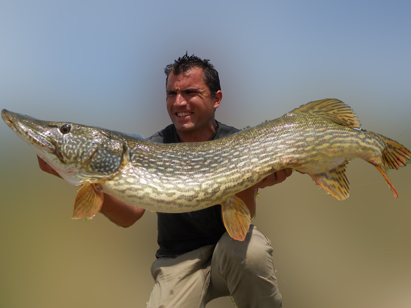 .: MI PRIMER LUCIO. QUE HAGO!!!!!