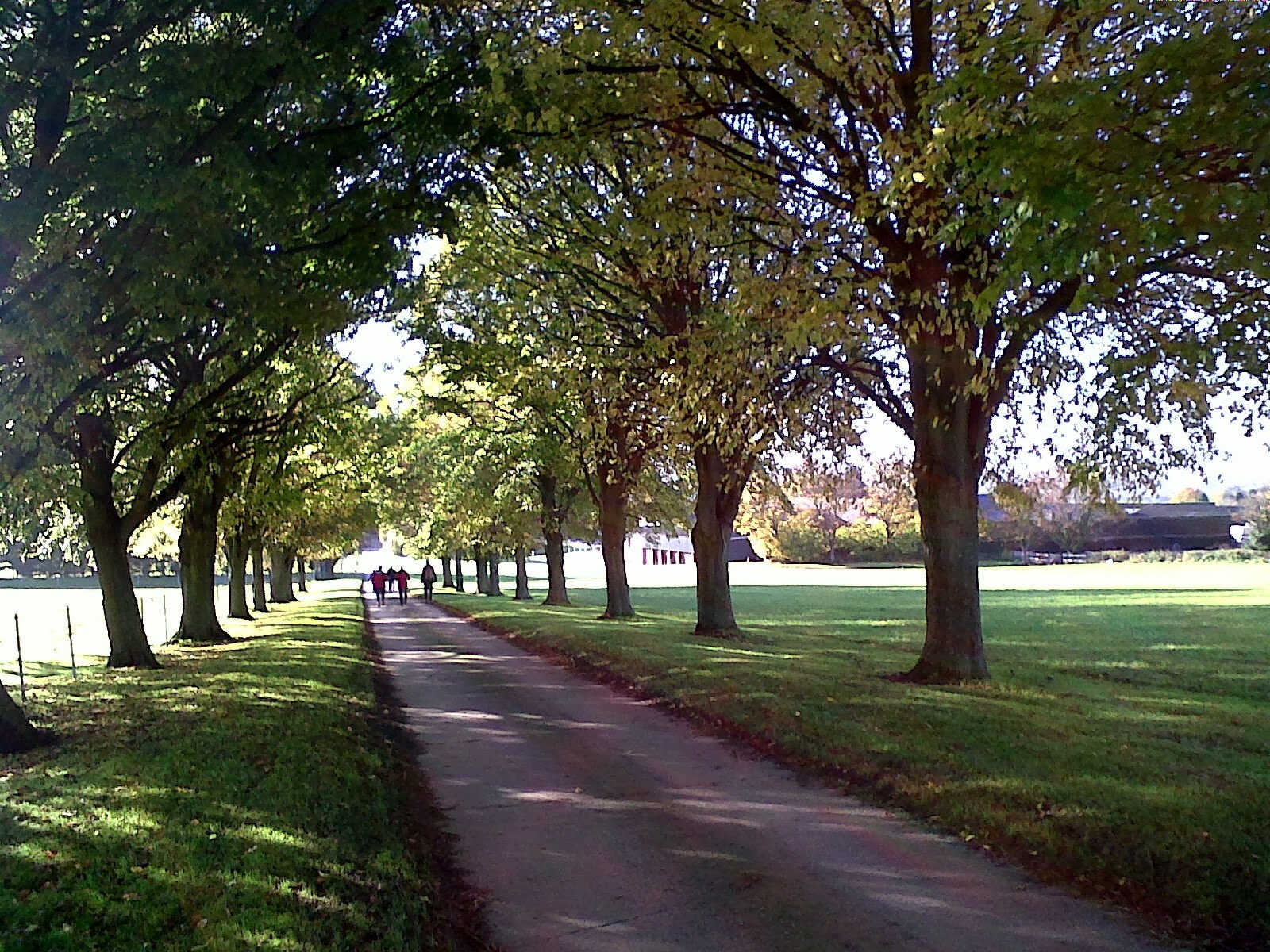 Devizes Days in Words and Pictures 2015: Out Walking in the Sunshine in ...