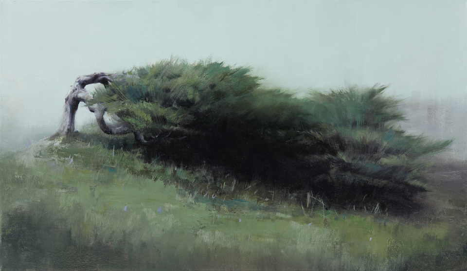 Hespe Gallery: Kim Cogan Sea Change, September 4 - October 2