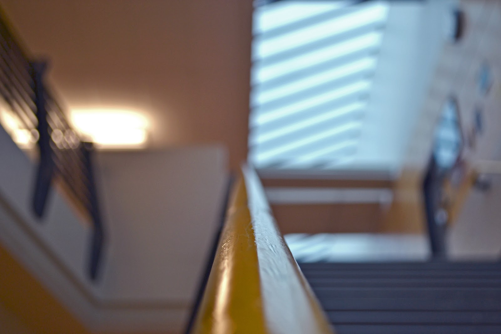 Tyler Townsend's Photography Blog : My Worms Eye View shots