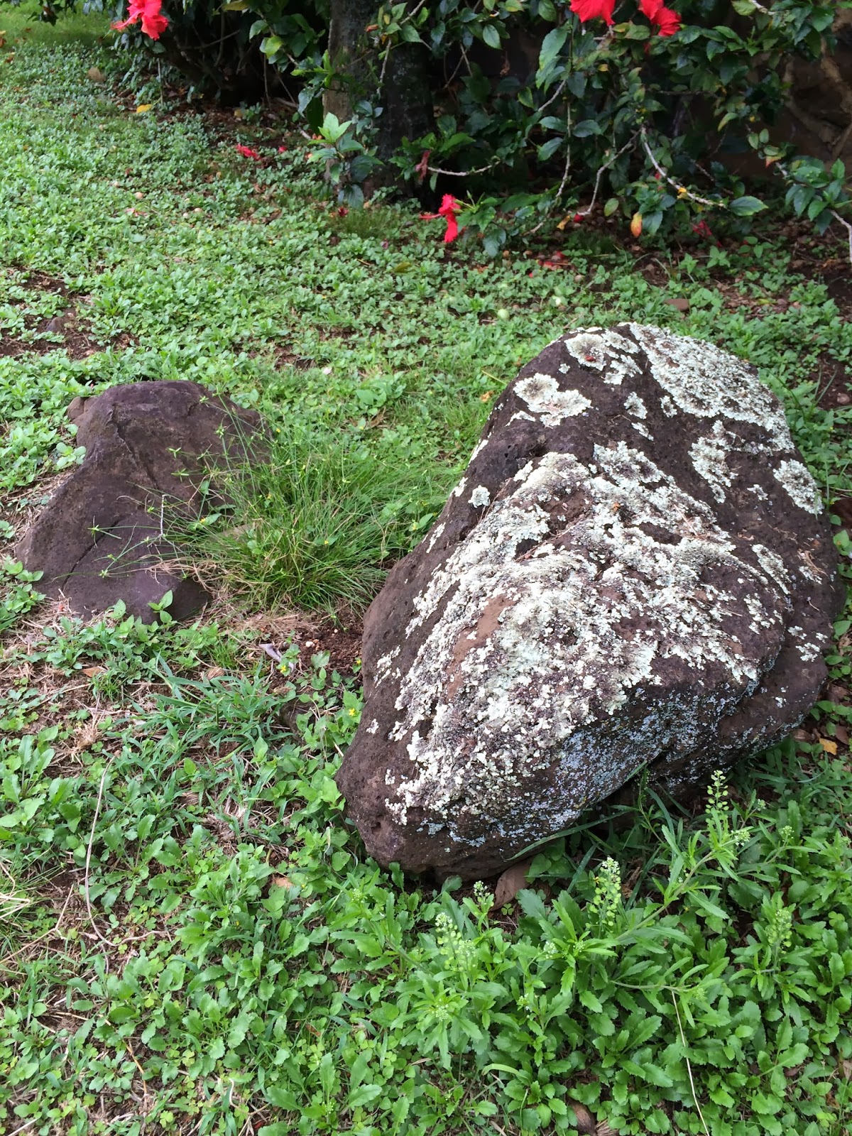 Pohukaina Cave: Nuuanu Pohaku Hunter