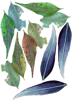 MIXED MEDIA SCRATCH ART - Frogs