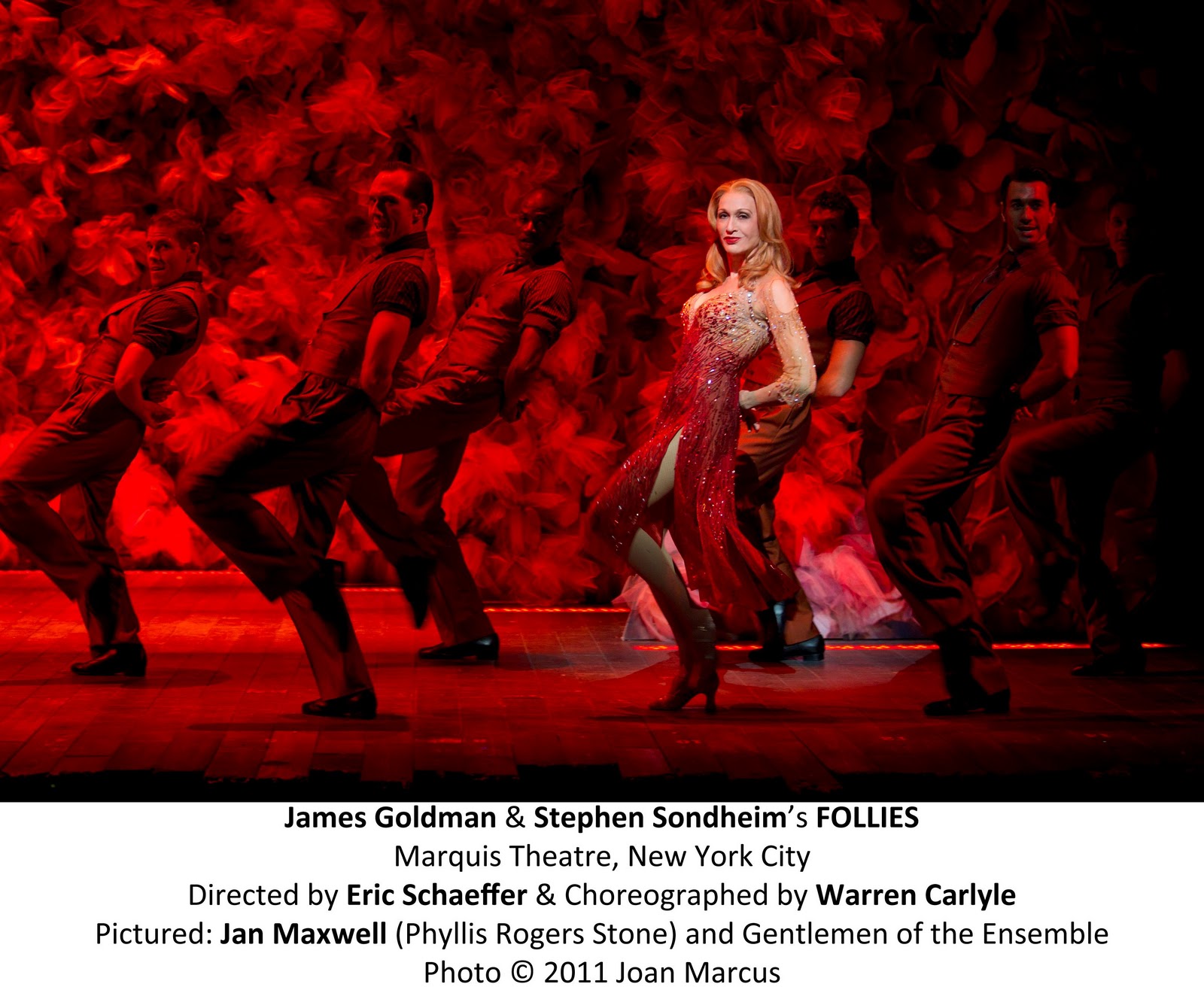 Reflections in the Light: Theater Review: Follies