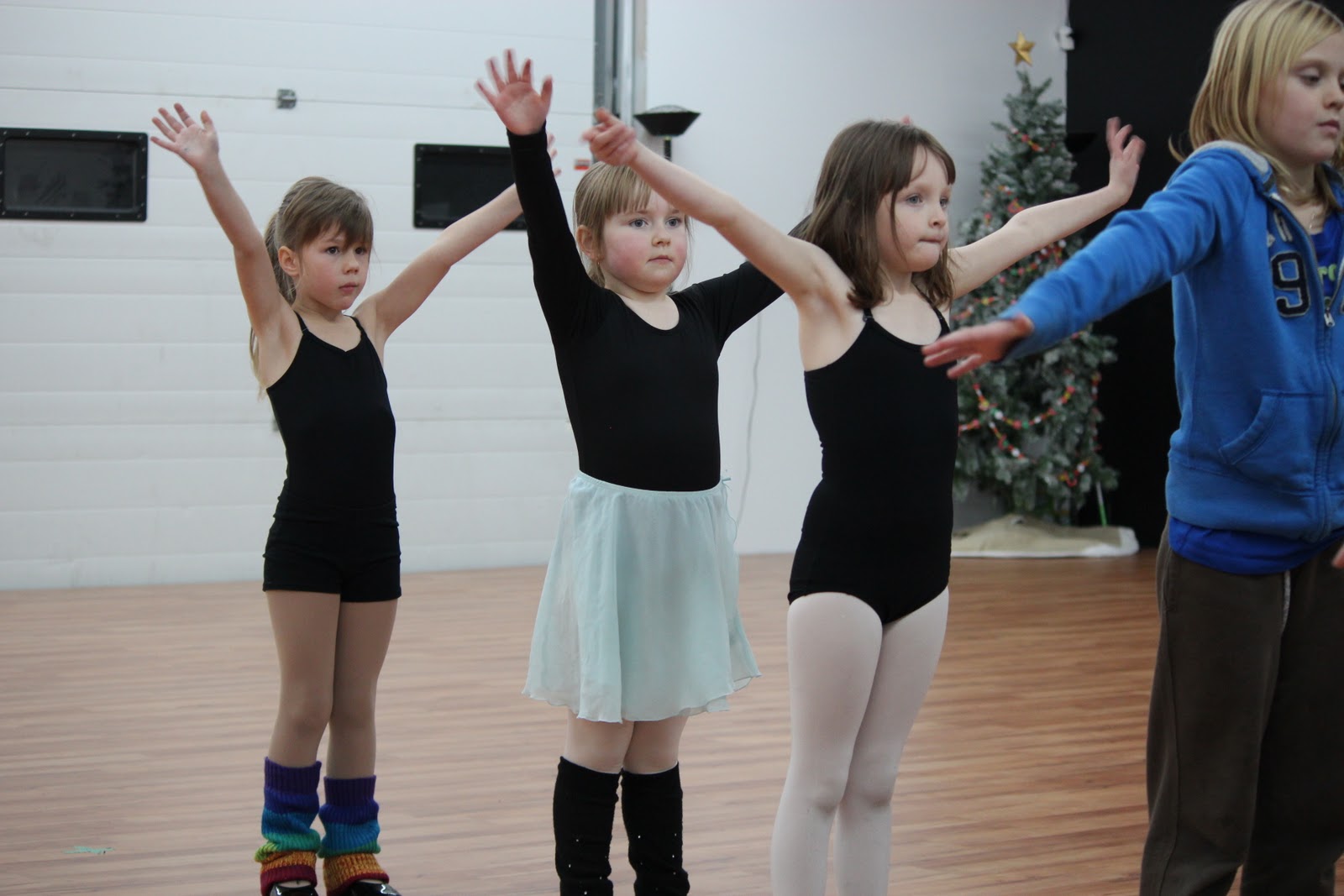 The Crazy Housewife: 9 Ladies Dancing