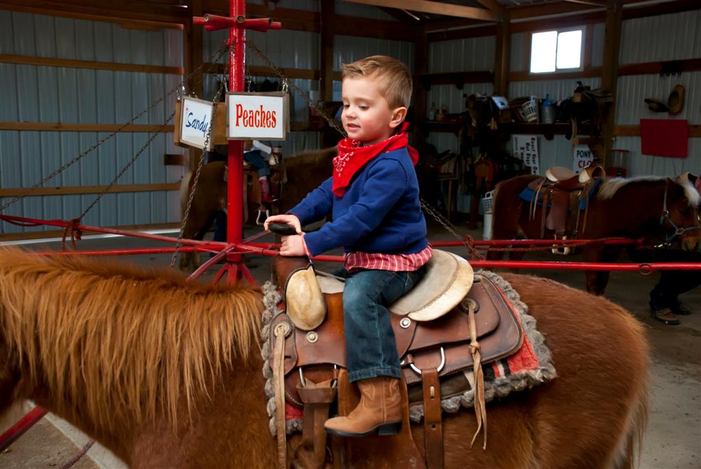 The Red Webs: Celebrating the little cowgirl