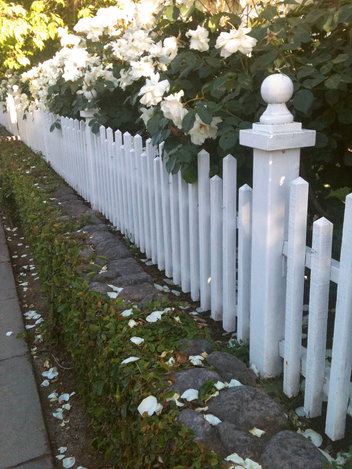 My Romantic Home: White Picket Fence Love!