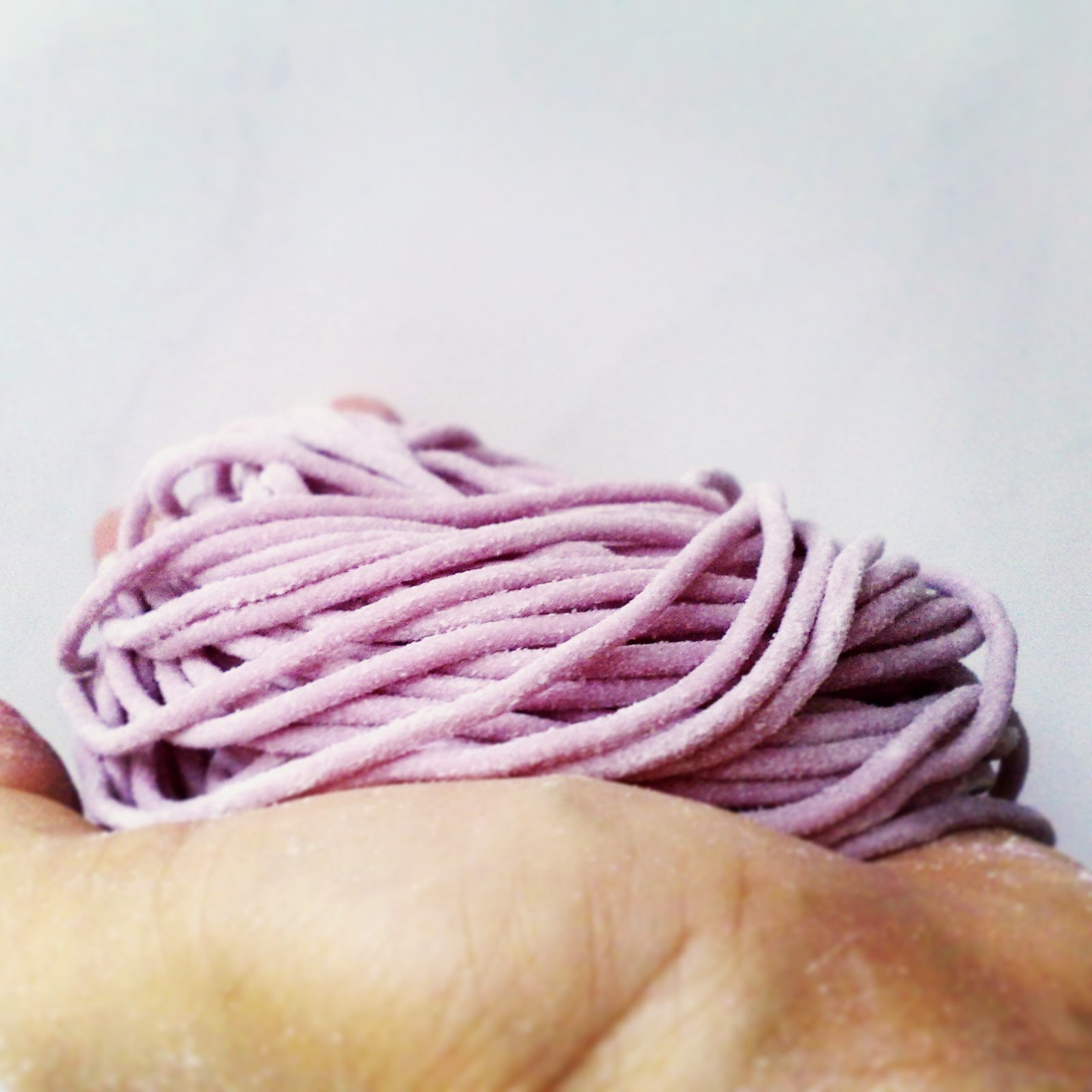 Best Noodle Dishes, Homemade Noodle Recipes & Creative Ideas: How To ...