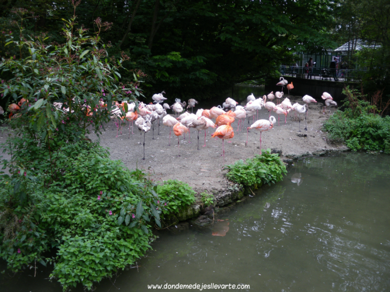 Donde me dejes llevarte: Tierpark Hellabrunn (Múnich): mi último zoo