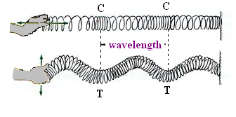 APS, Golconda | Priyanka Gupta