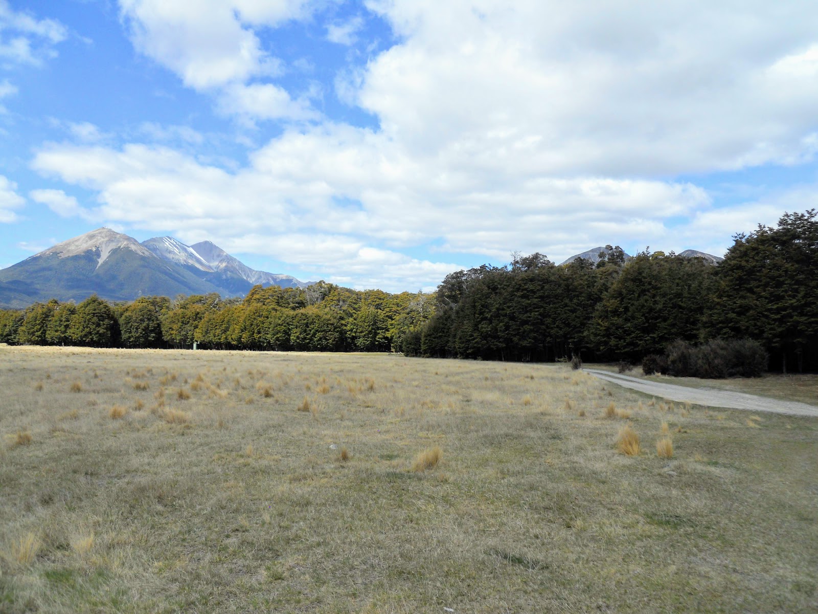 Tramping in the New Zealand backcountry: NZ Bush Adventures: Hawdon ...