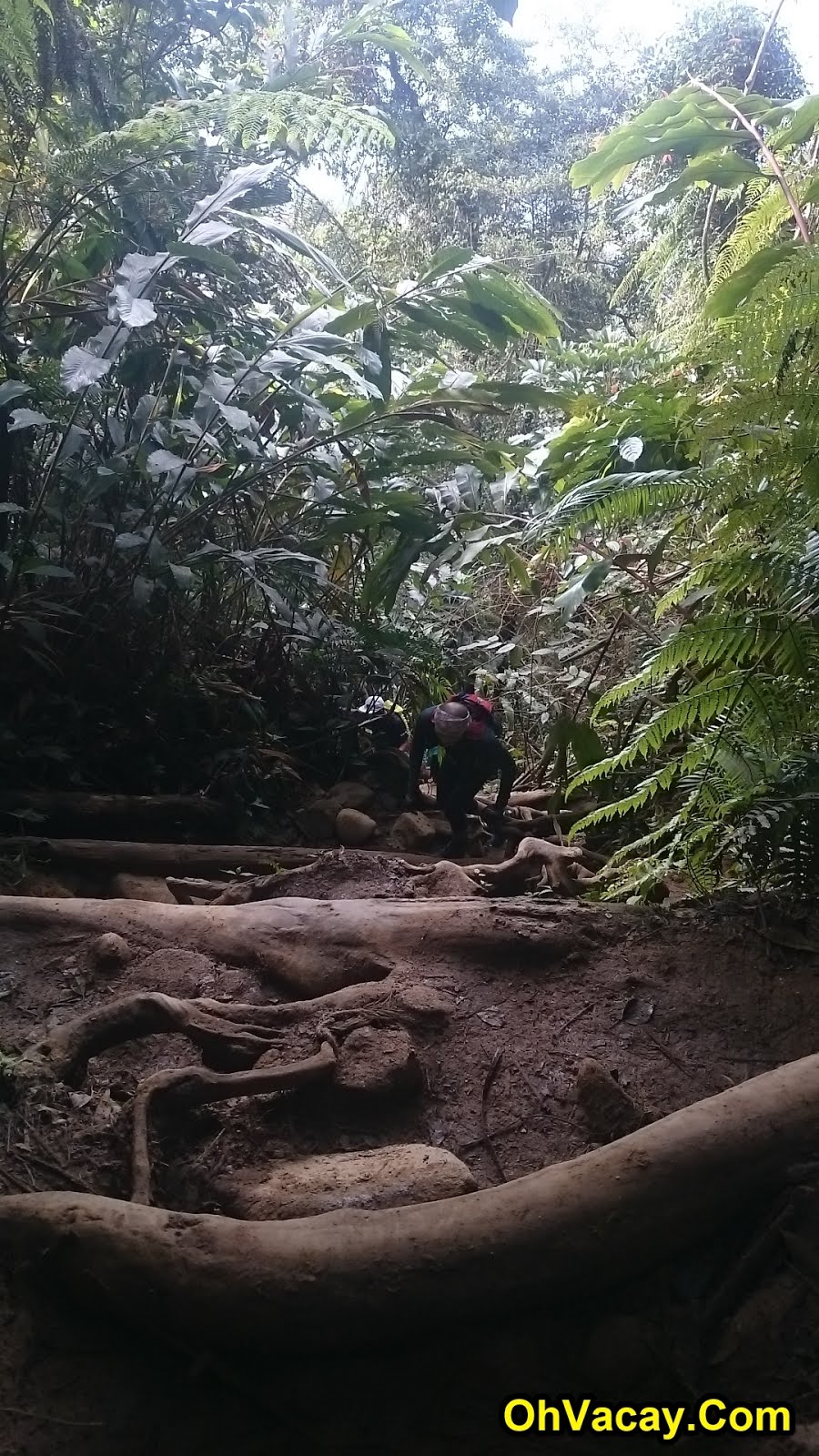 Pengalaman ke Gunung Nuang melalui Pangsun, Hulu langat - OhVacay.Com