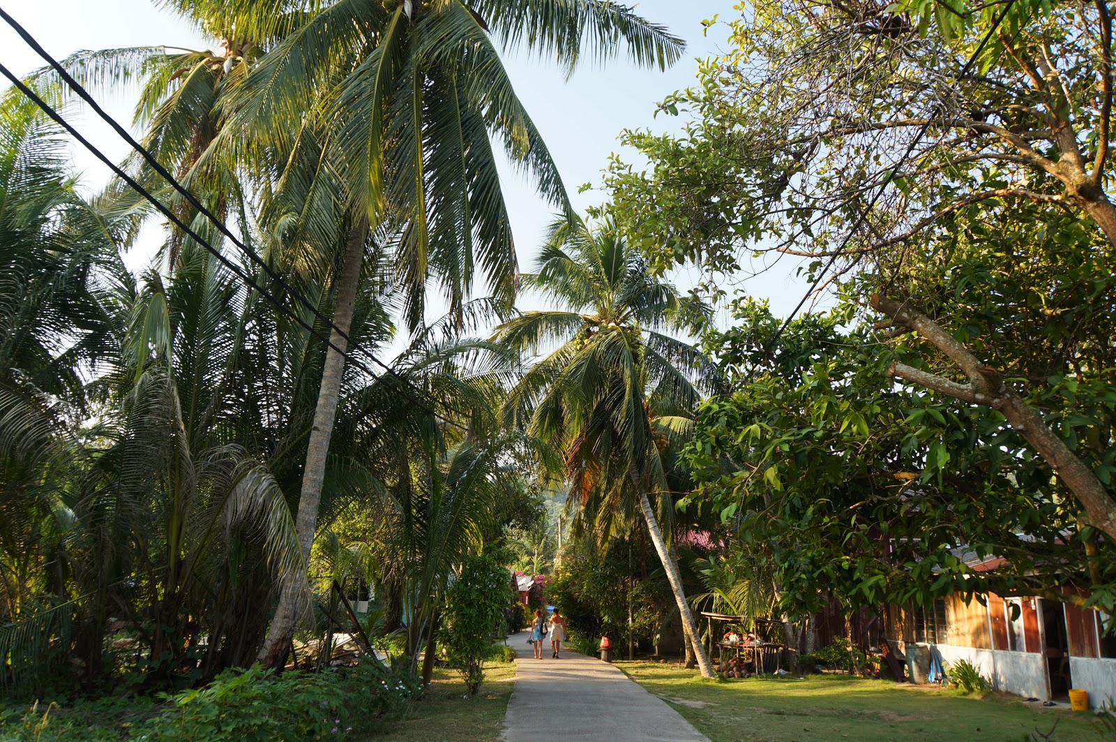 Malaisie - jour 12 : Tioman - Jungle trek vers Juara