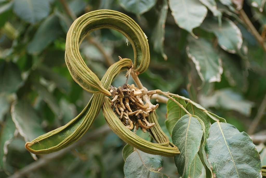 Natureza, Perfeição sem tamanho...