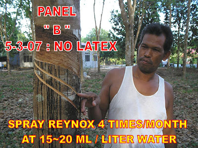 Baja Getah Terbaik Di Asia ~ Baja Organik Terbaik