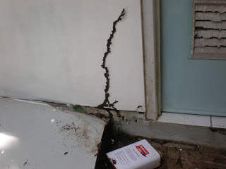 021-22463013 - Mengenal Rayap: 021 22462013 - Ciri rumah yang telah ...