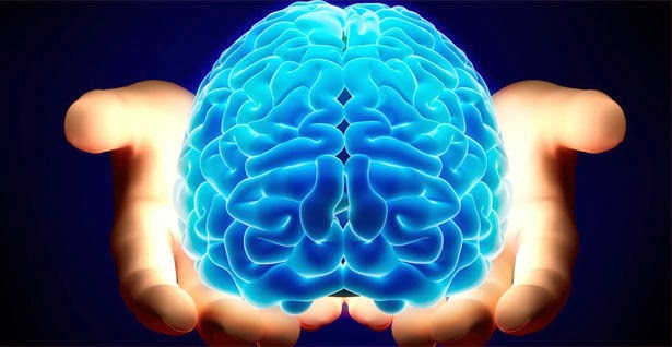 Relax kutak: TAJNA LJUDSKOG MOZGA